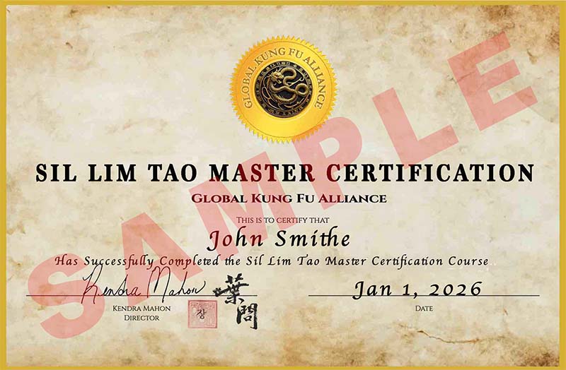 Sil Lim Tao Video Program